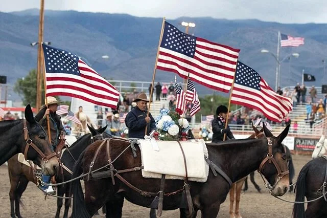 Mules and More Magazine