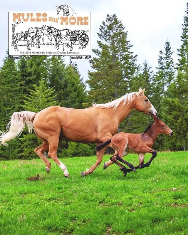 Mules and More Magazine