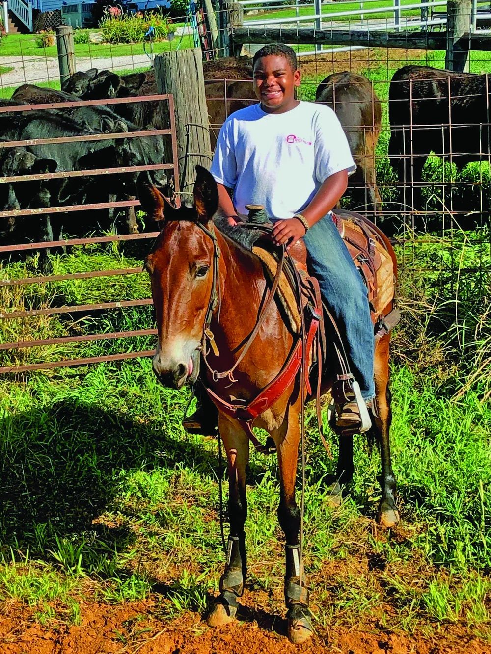 Missouri Mule Makeover Youth Trainer Updates — Mules and More Magazine