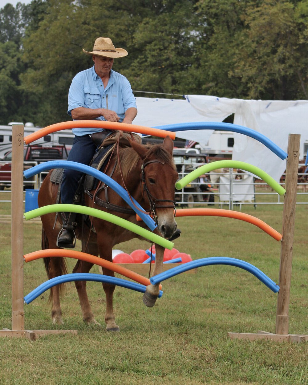 2021 Mule and Donkey Event Preview — Mules and More Magazine
