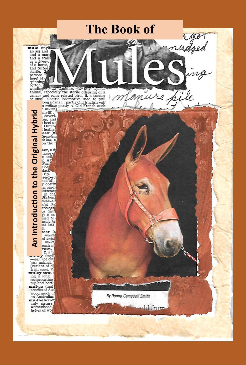 Mules and More Magazine