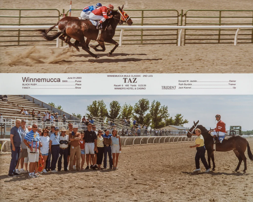 Transitioning of a Legacy — Mules and More Magazine
