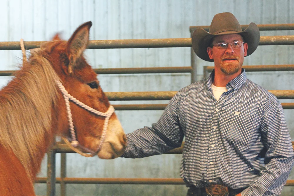Missouri Mule Makeover Draw Event — Mules and More Magazine