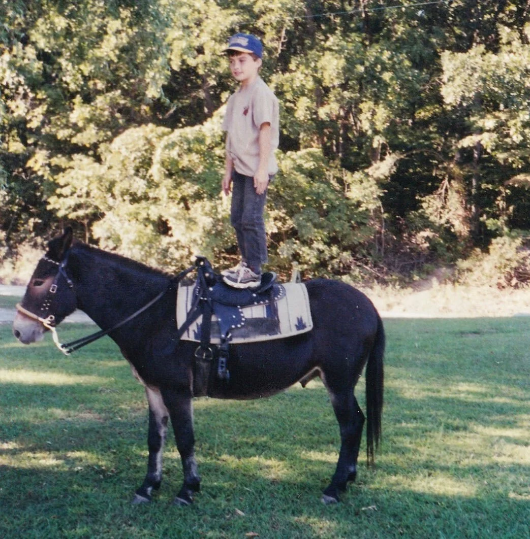 Mules and More Magazine