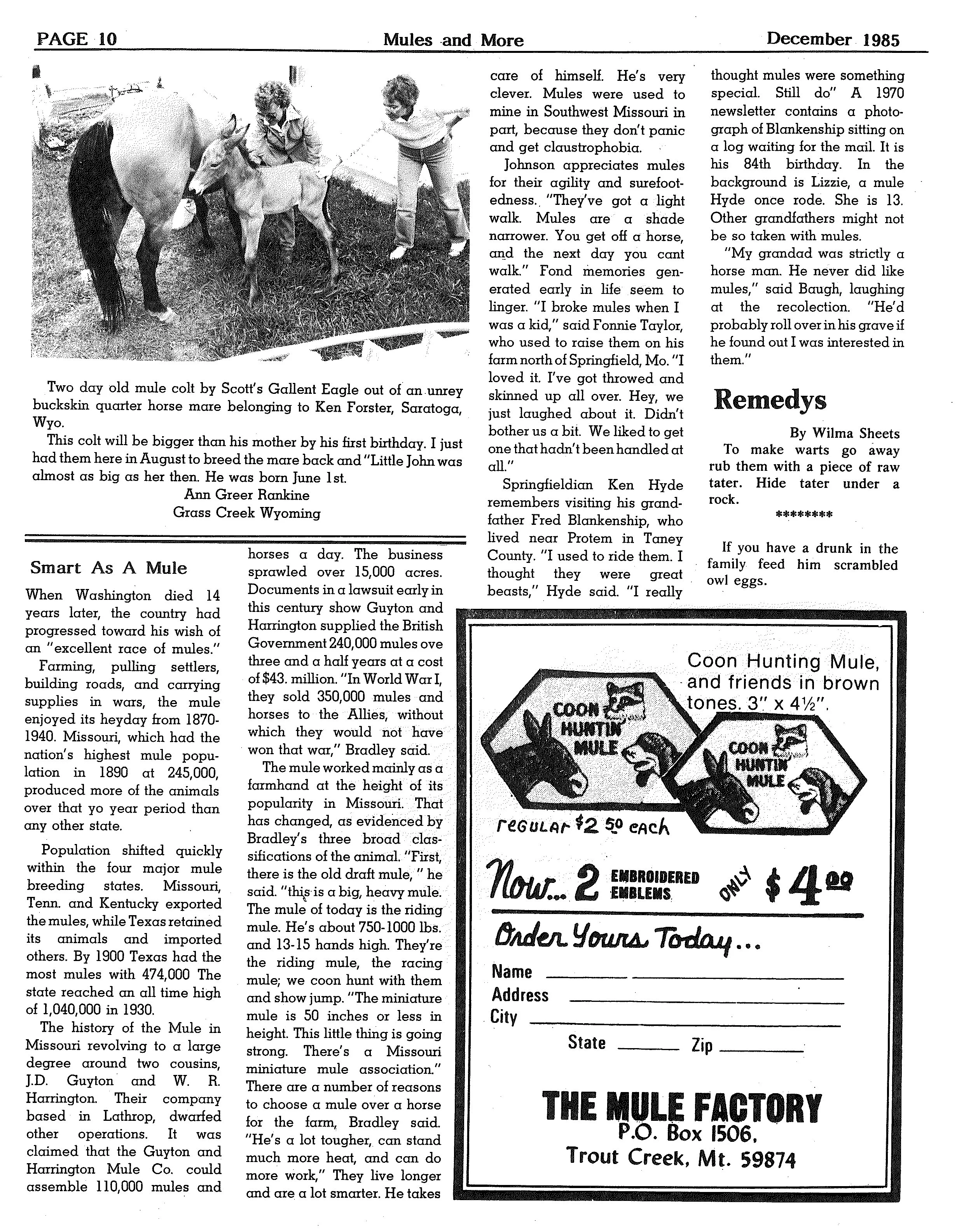 A Chronicle of the Congressional Quest to name October 26, 1985, 'Mule ...