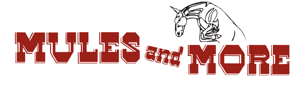 Magnetic Decals — Mules and More Magazine