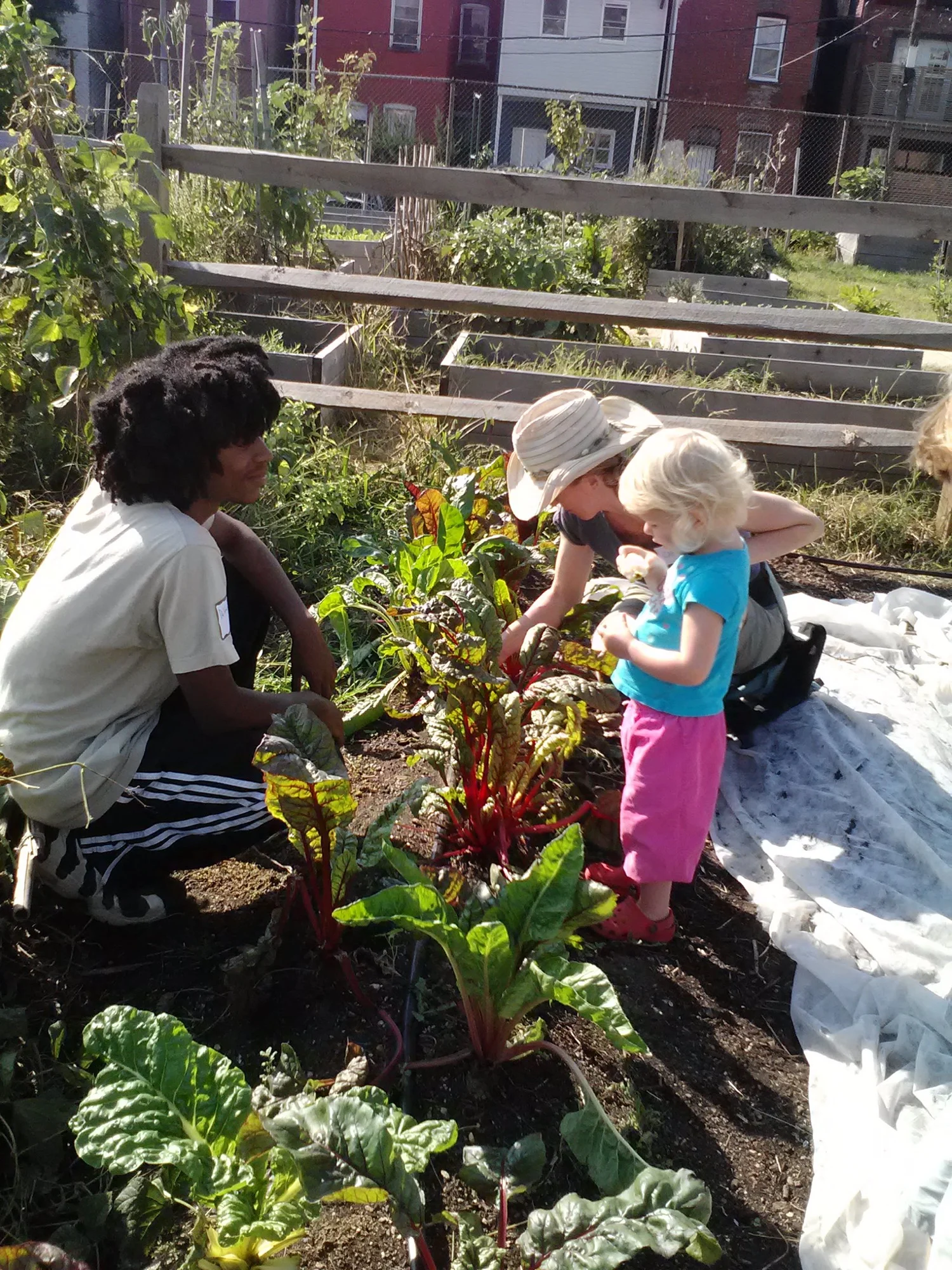 Little Farm Garden