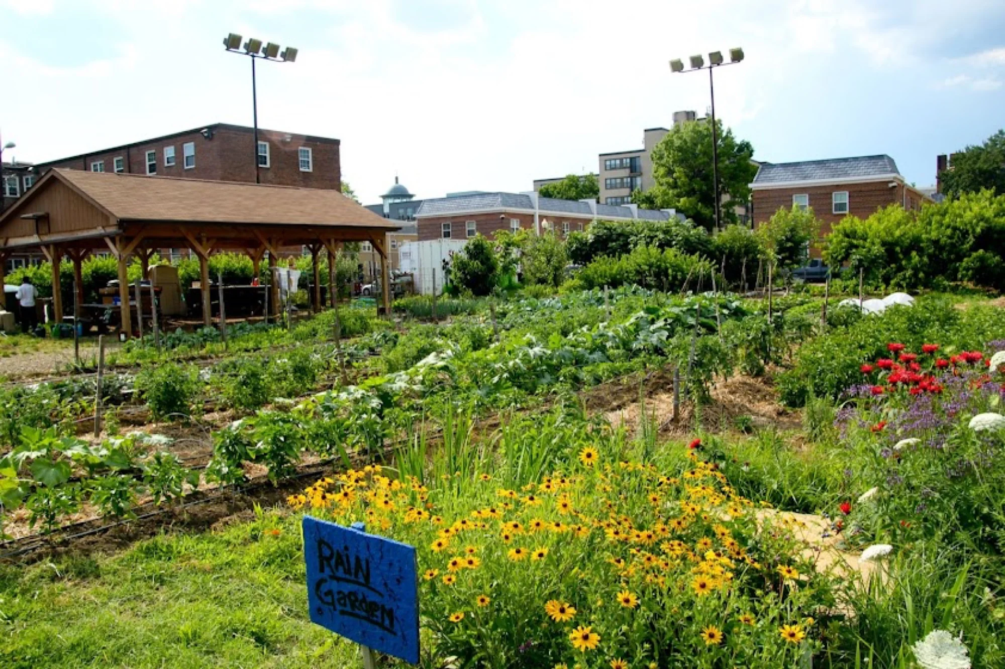 Common Good City Farm