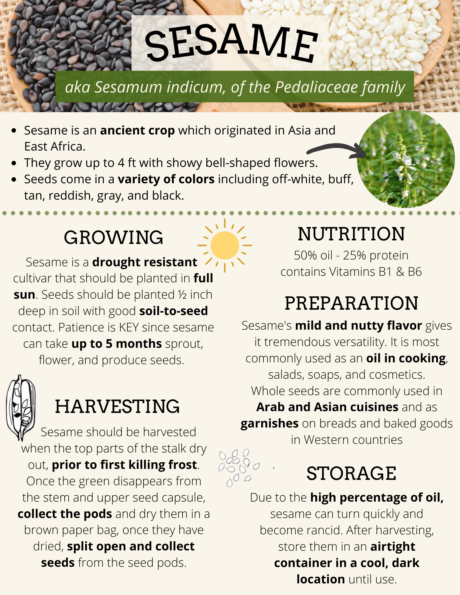 Spring forward with Sesame, Scotch Bonnet, and Spinach — Common Good ...