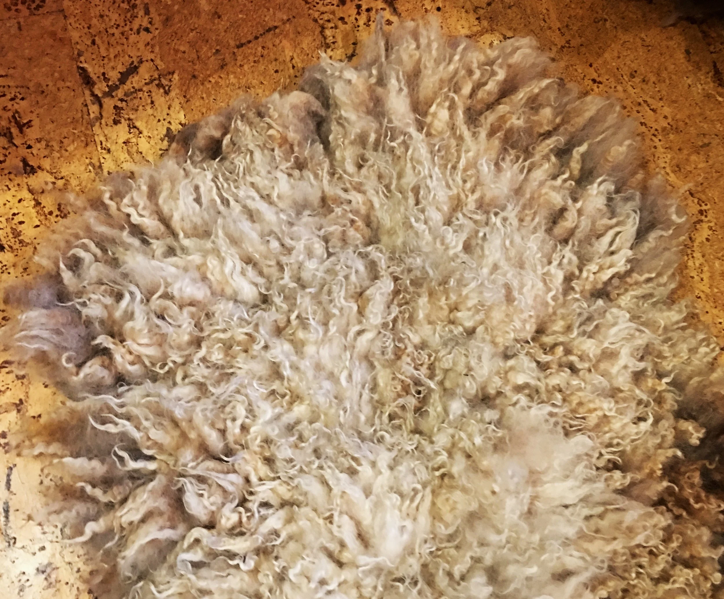 Felted Fleece — Twining Vine Designs