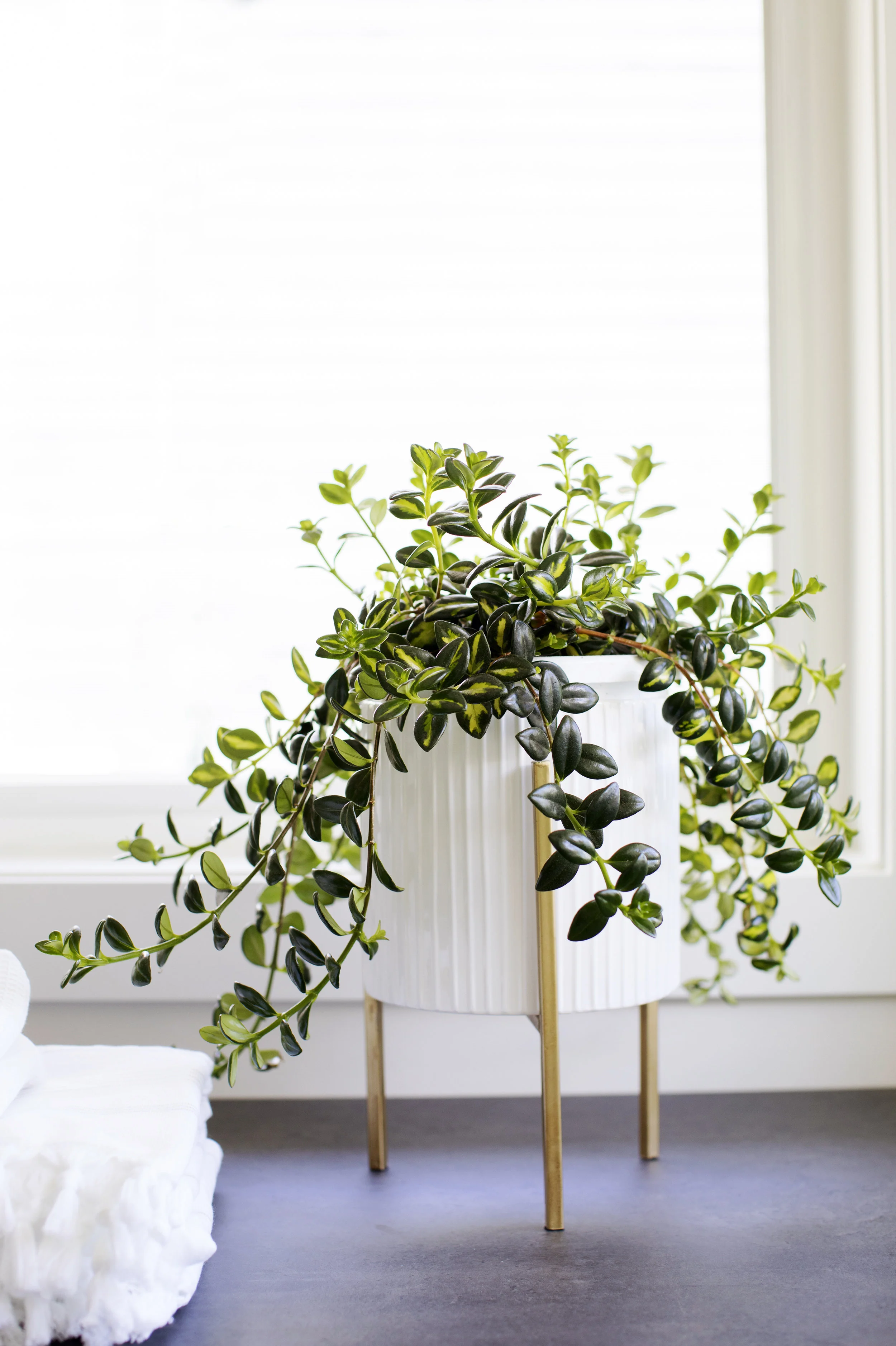 RG Design Studio Inc.