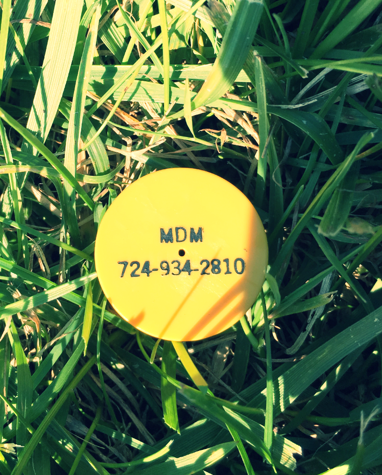 Residential — MDM Surveyors & Engineers, LLC