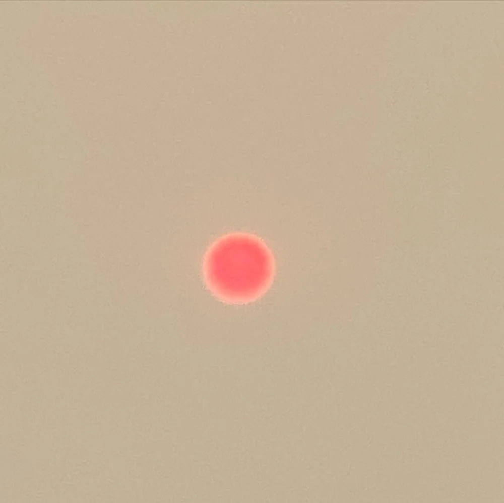 Shop Online — Christian K Bonner