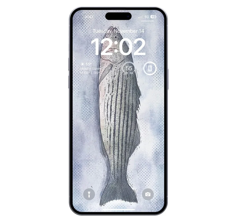 Striped Bass Wallpaper — Joe Willey Creative