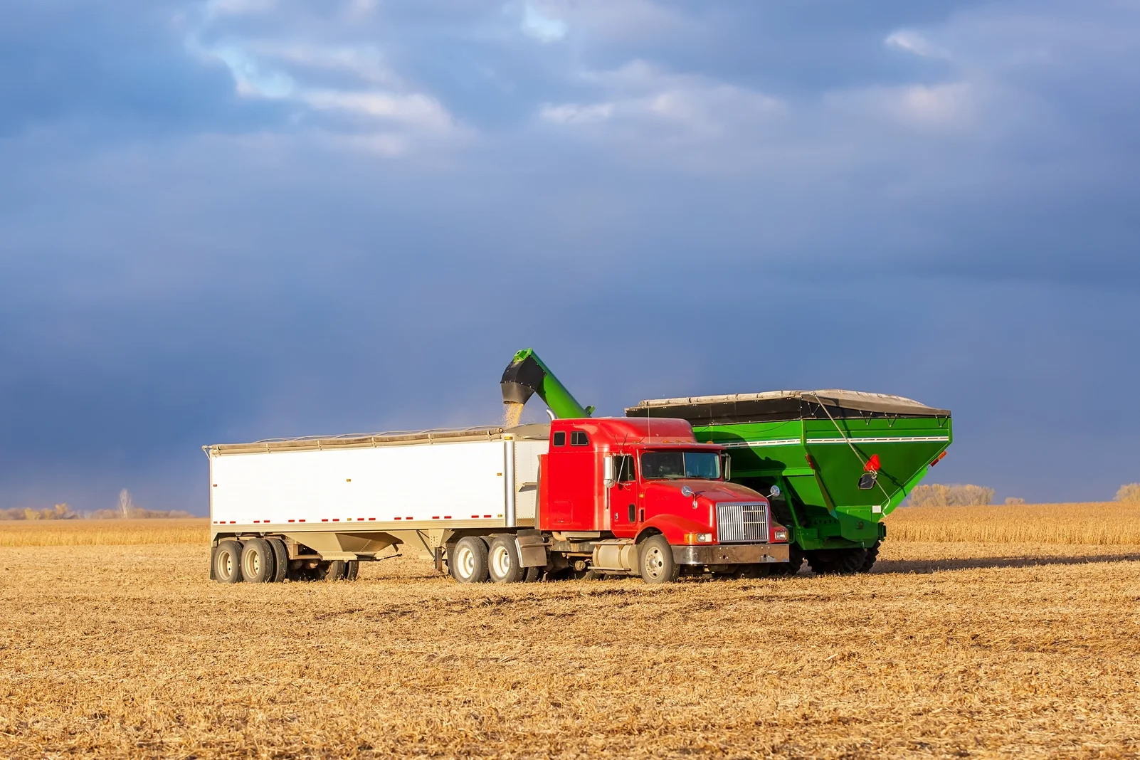 Reliant-Transportation