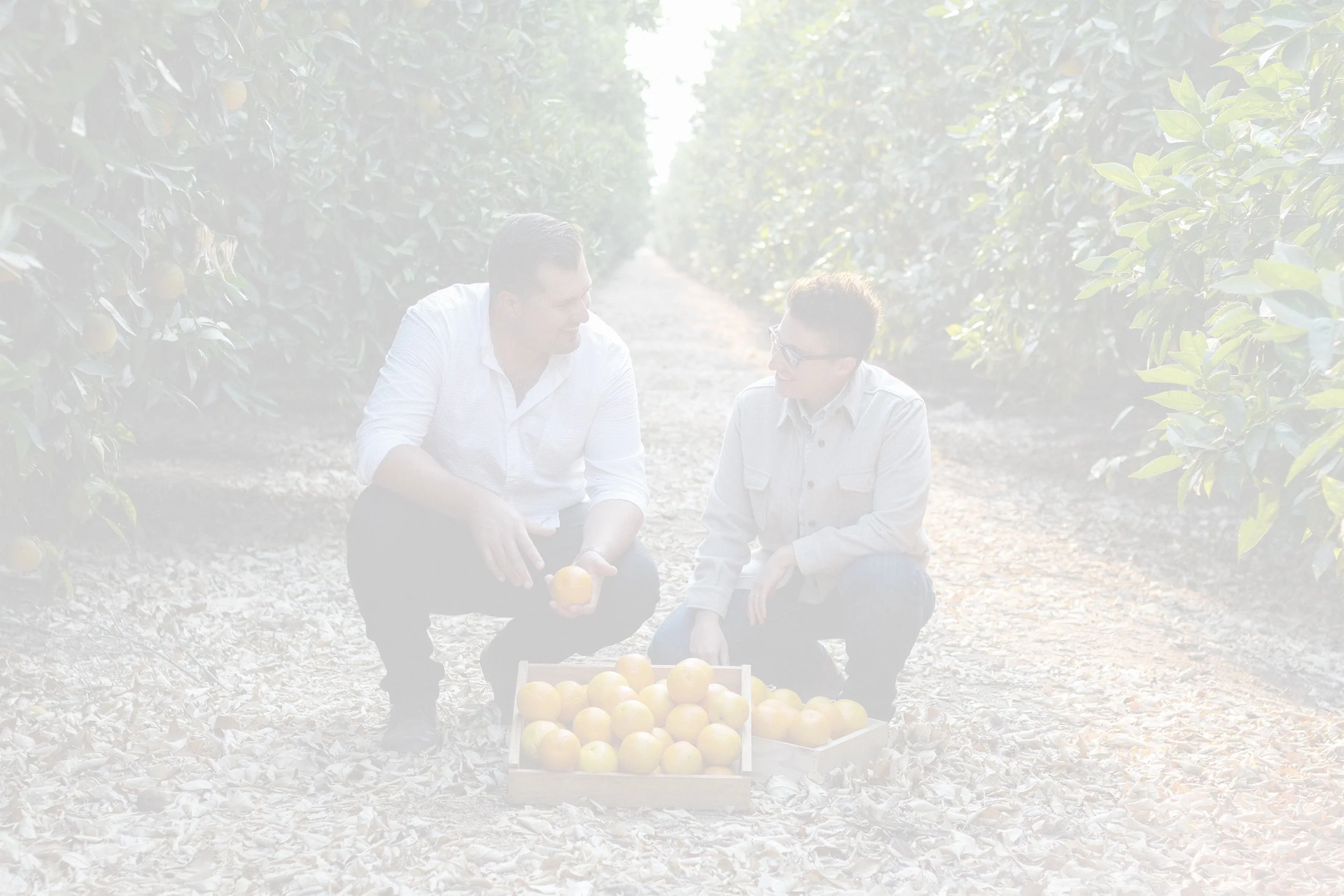 Fruit World