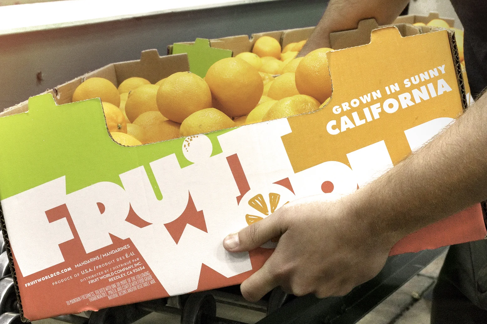 Fruit World