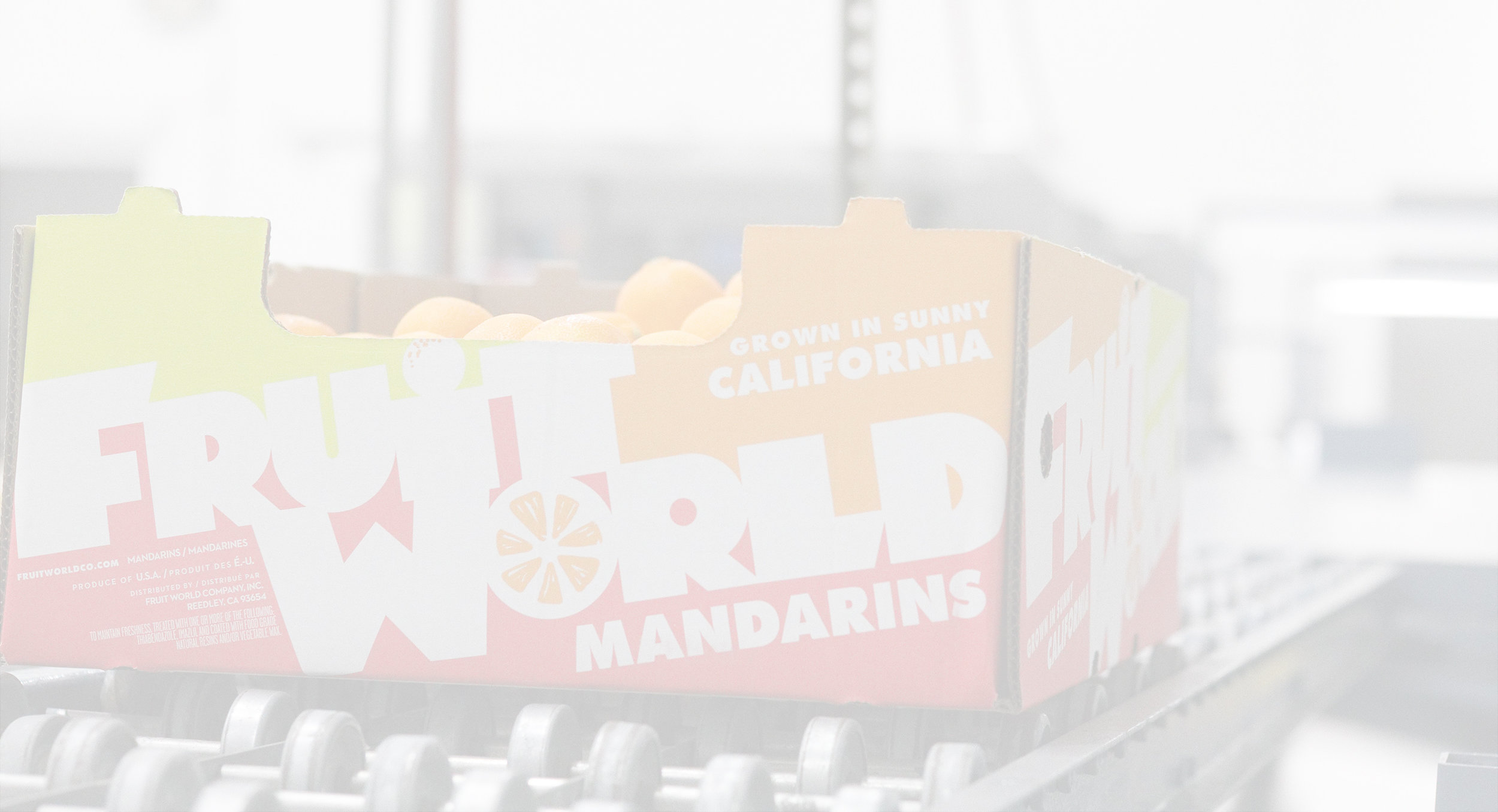 Buyers — Fruit World