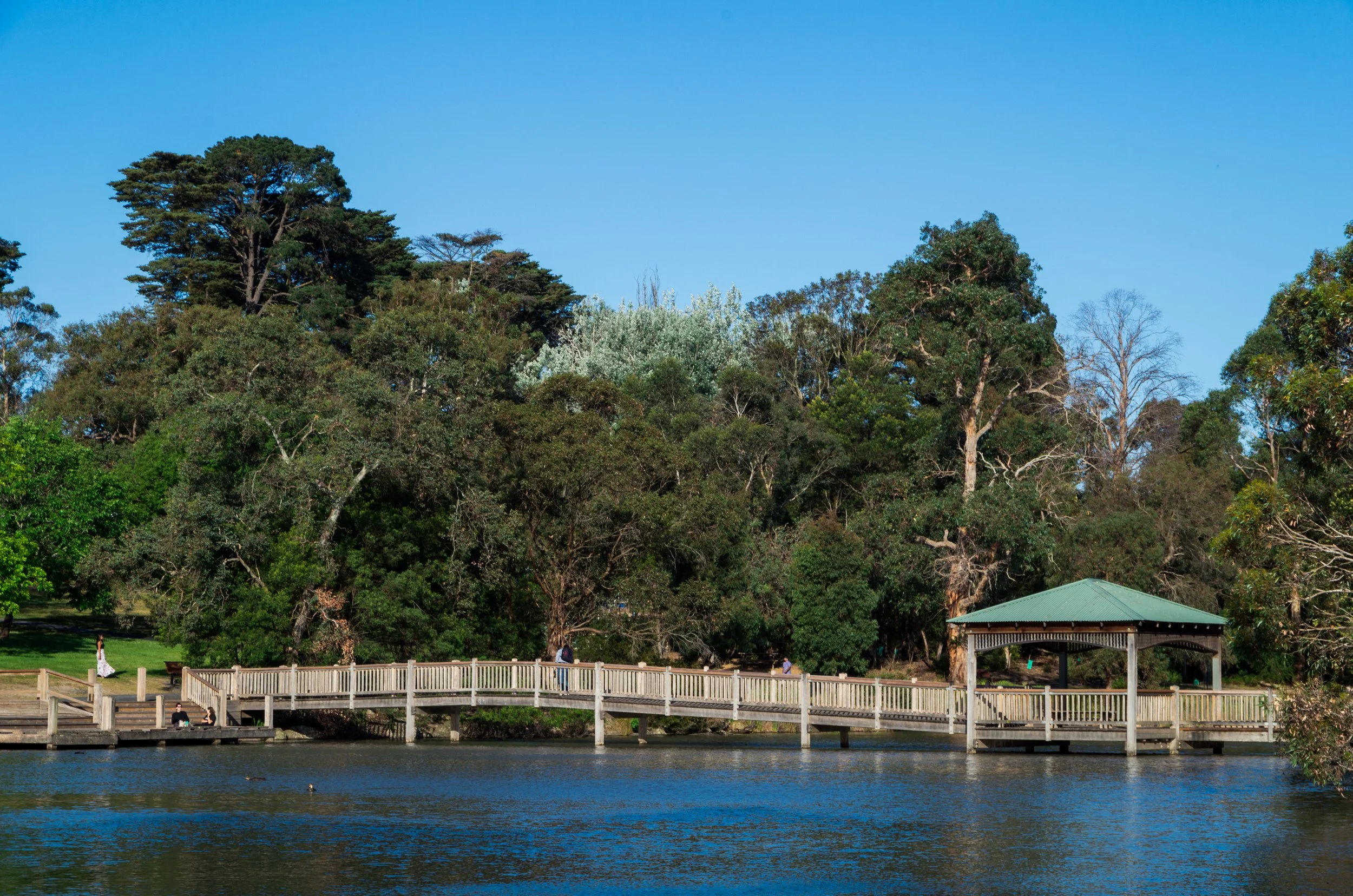 5 New Homes in Healesville, Victoria. Modern Living in the Yarra Valley ...