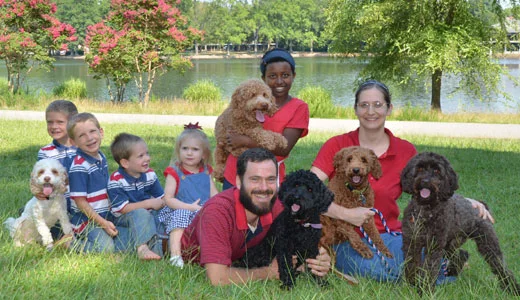 Blue Ridge Labradoodles