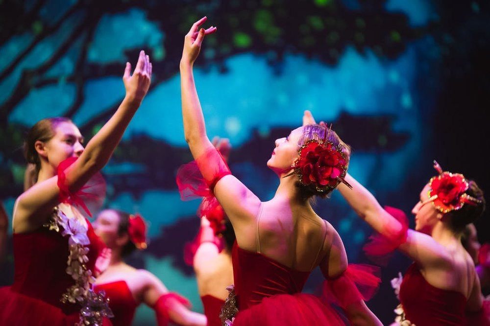 In the News — Ballet Co.Laboratory