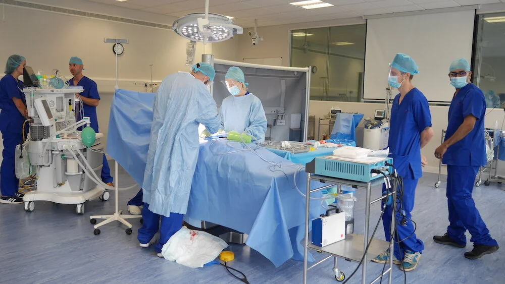 KwickScreen Hosptial Screens for Medical Simulation Training — KwickScreen