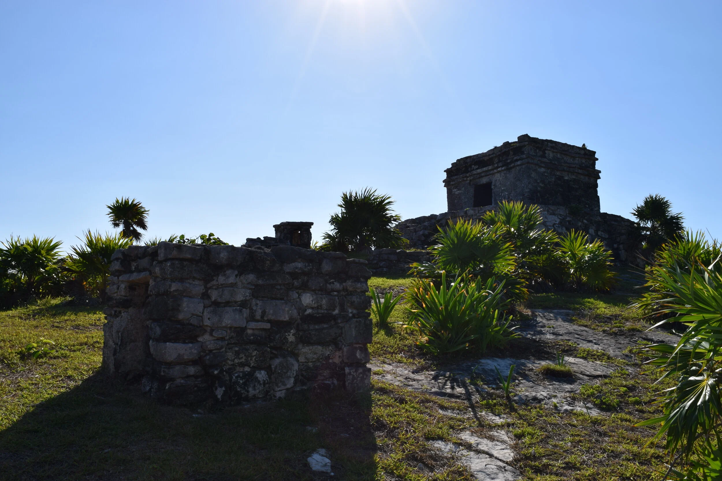 The Serpent and the Garden of Eden — Neven Paar