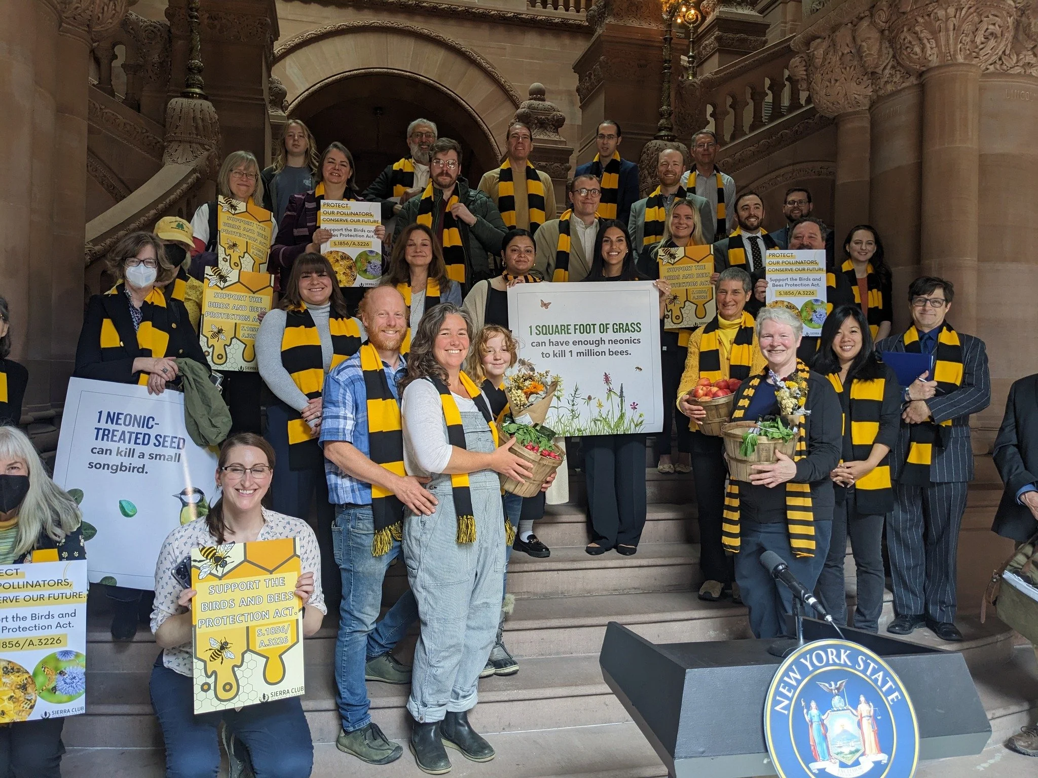 Highlights and Happenings: August 2023 — Citizens Campaign for the ...