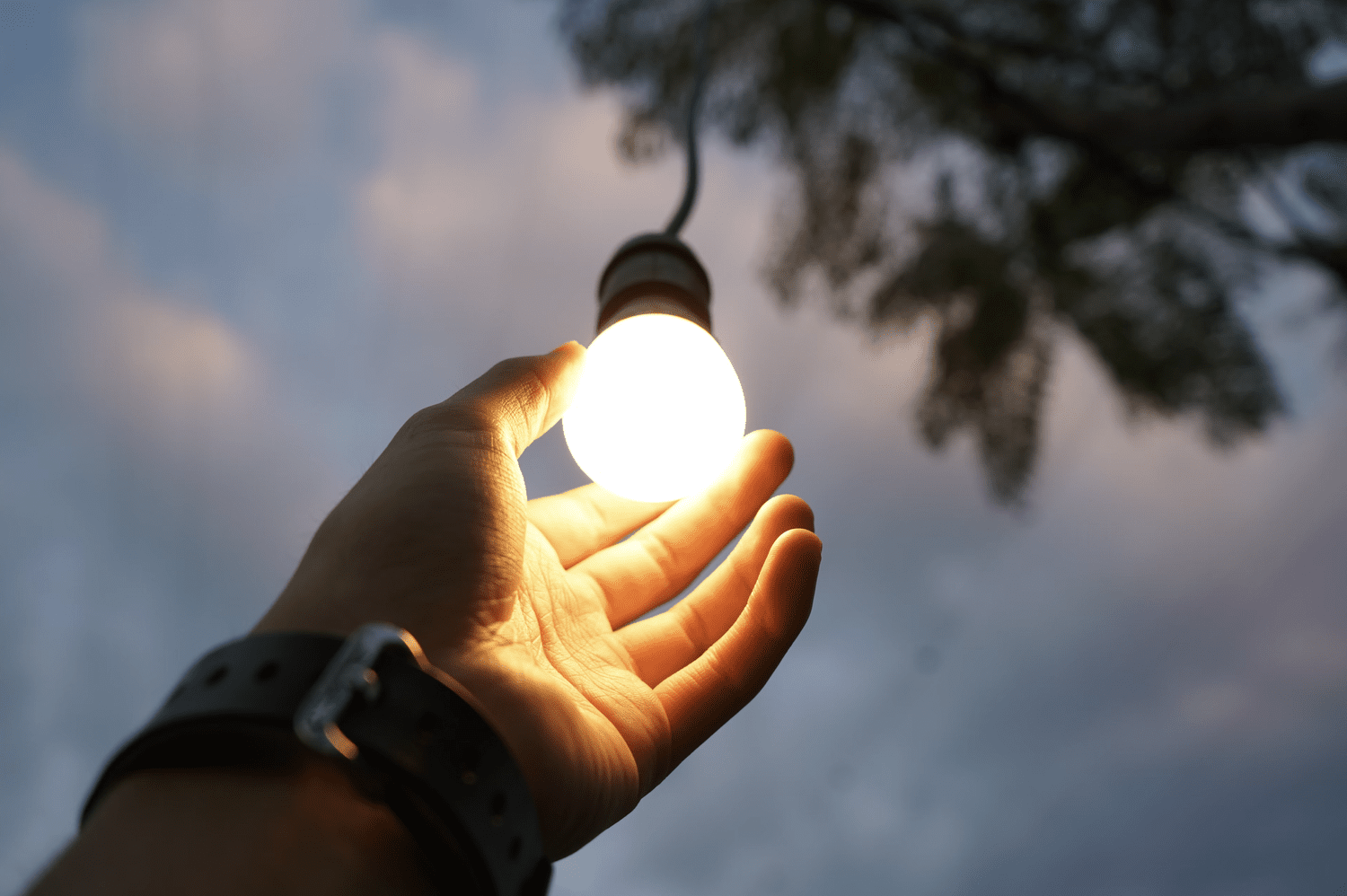 Lunch and Learn with Propel NY Energy — Citizens Campaign for the ...