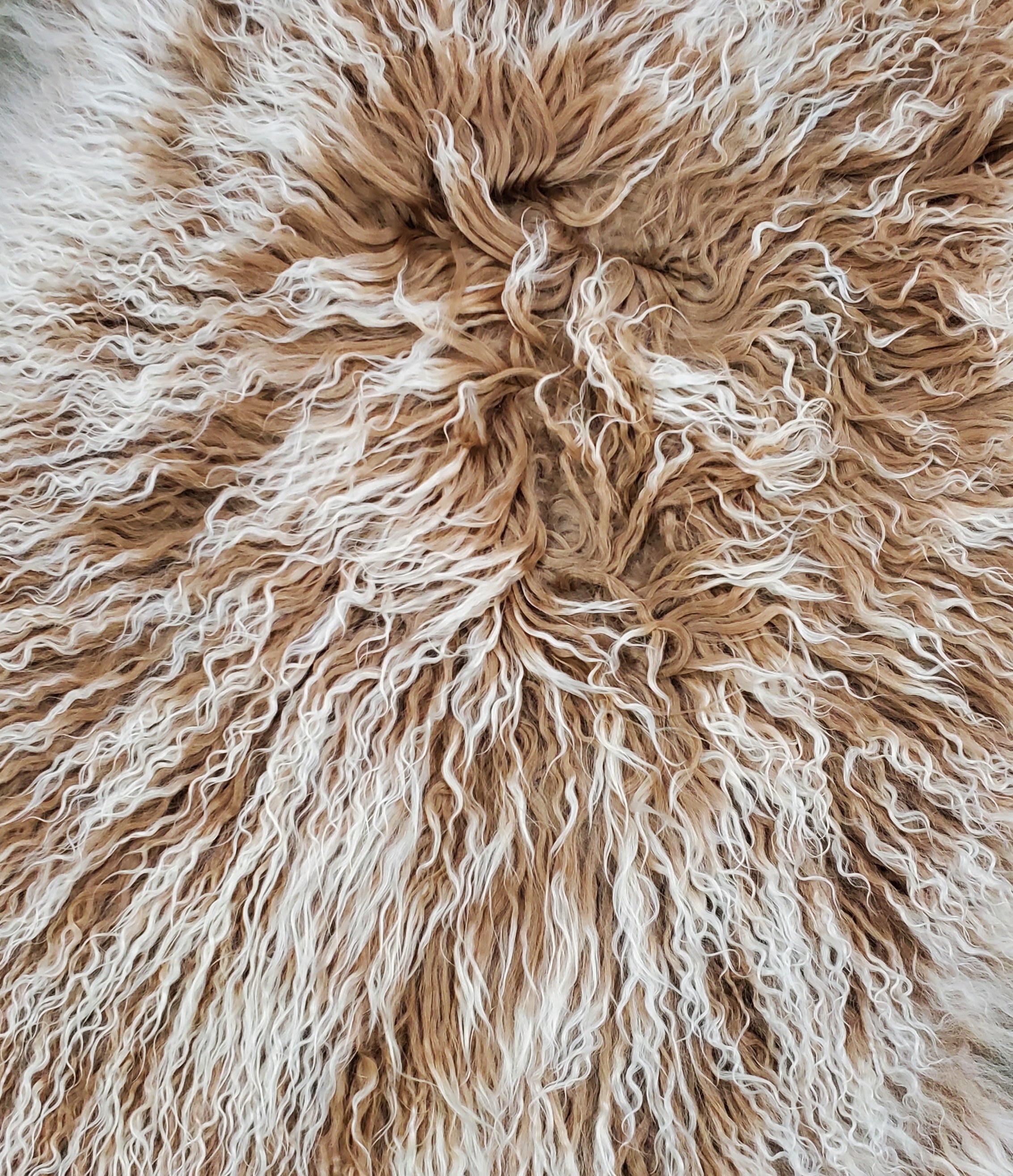 Tibetan Lamb — Texas Leather Goods