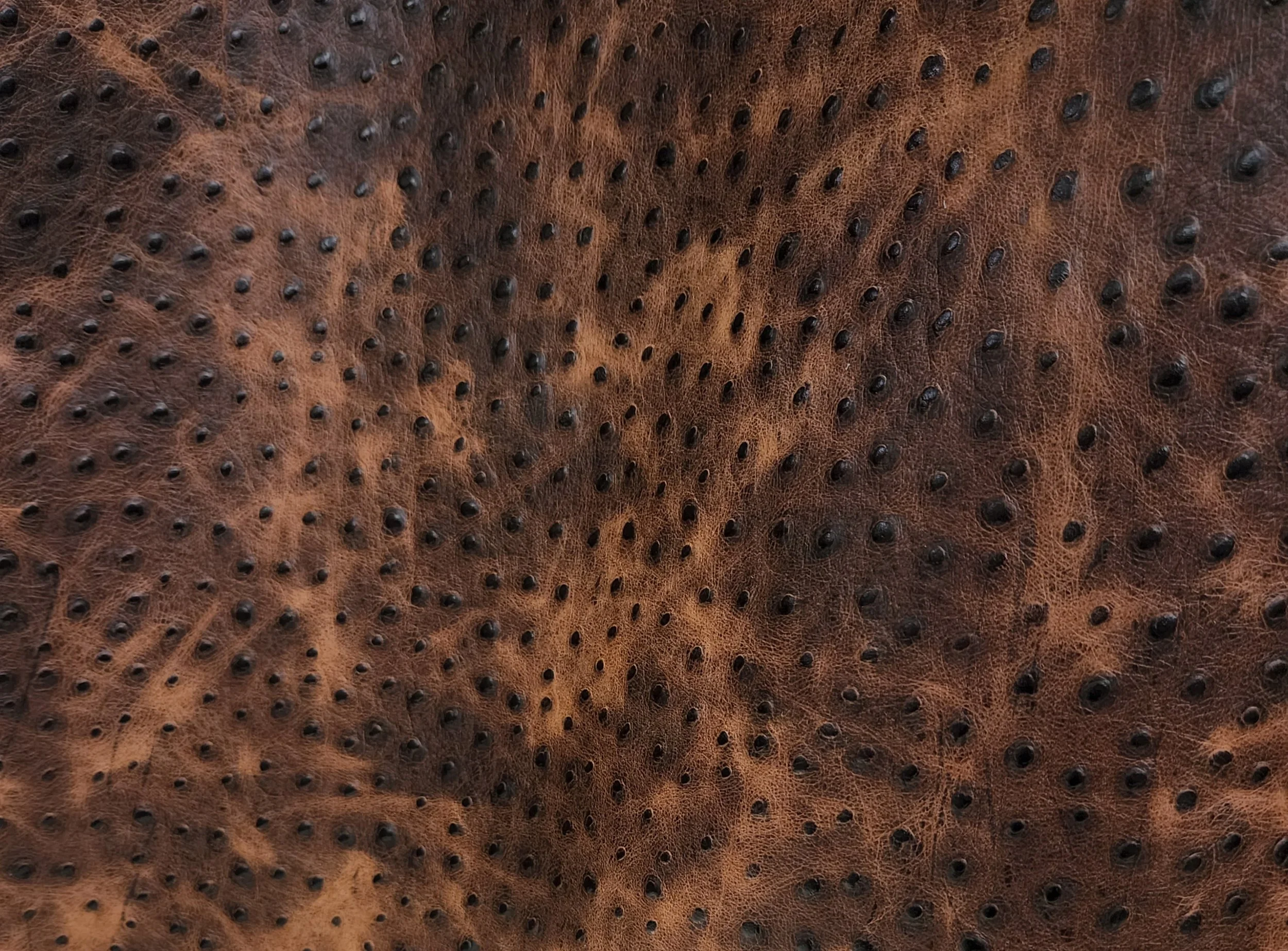 Western Embossed Leathers — Texas Leather Goods