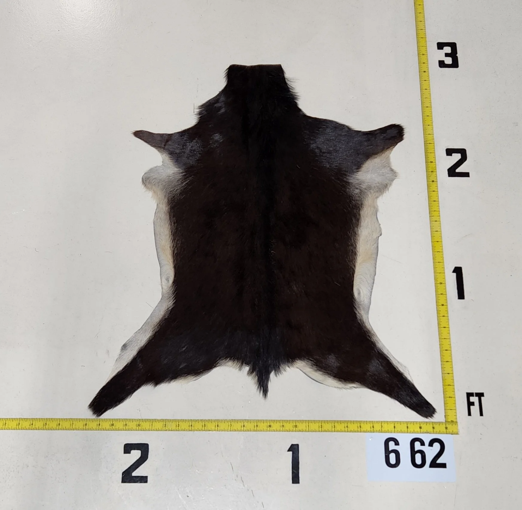 Pick Your Specialty Hide — Texas Leather Goods