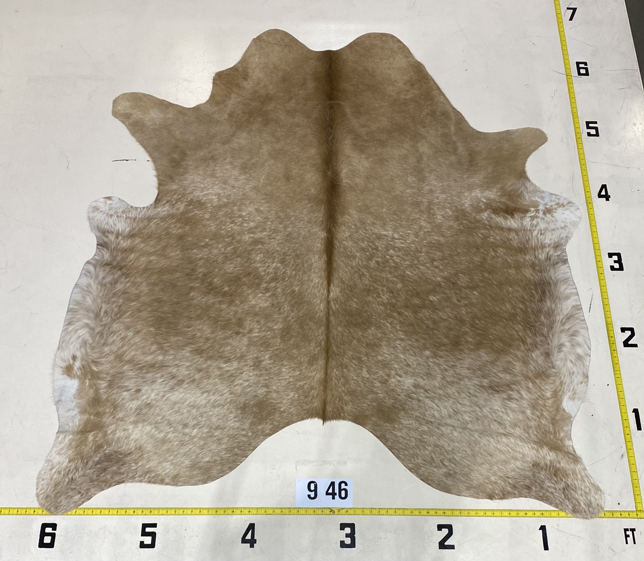 Pick Your Promo Hide — Texas Leather Goods