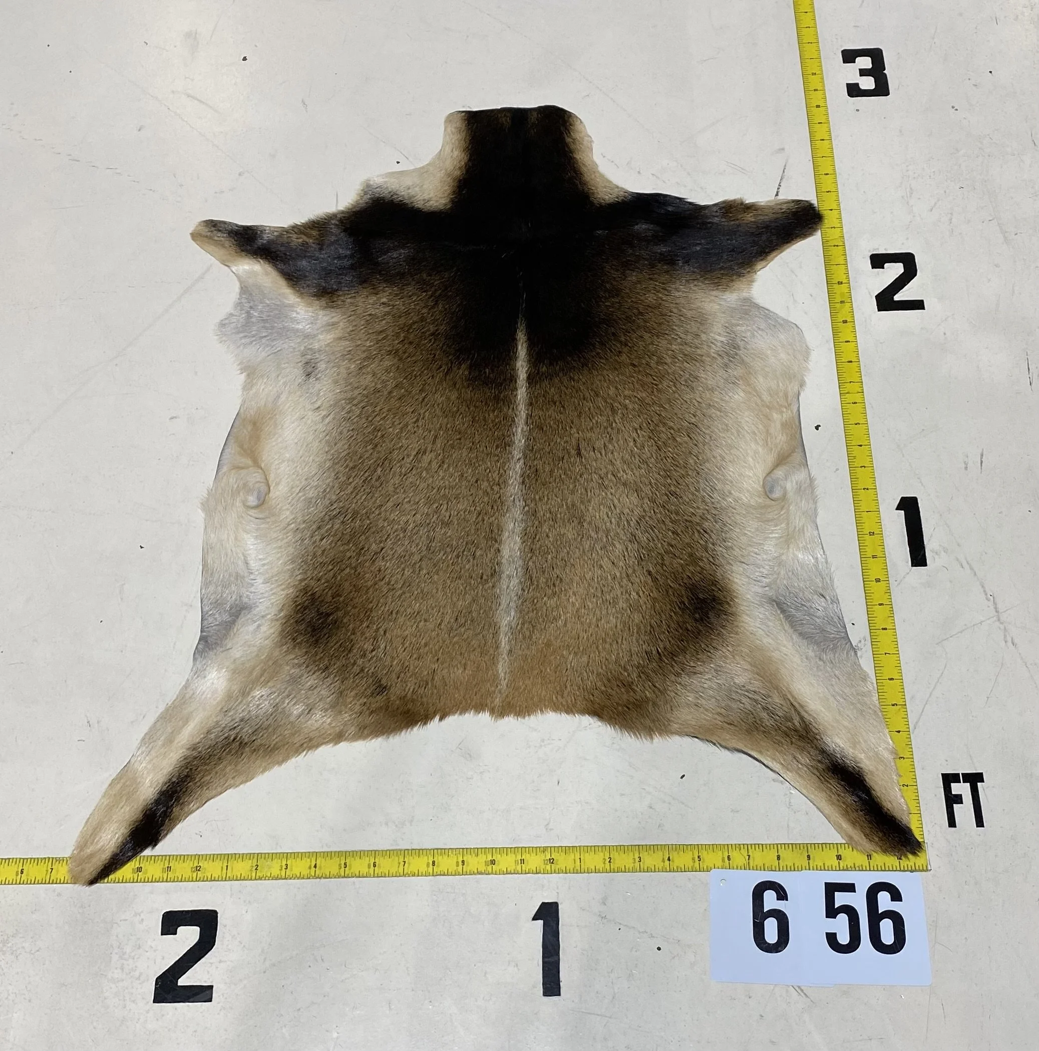 Pick Your Specialty Hide — Texas Leather Goods