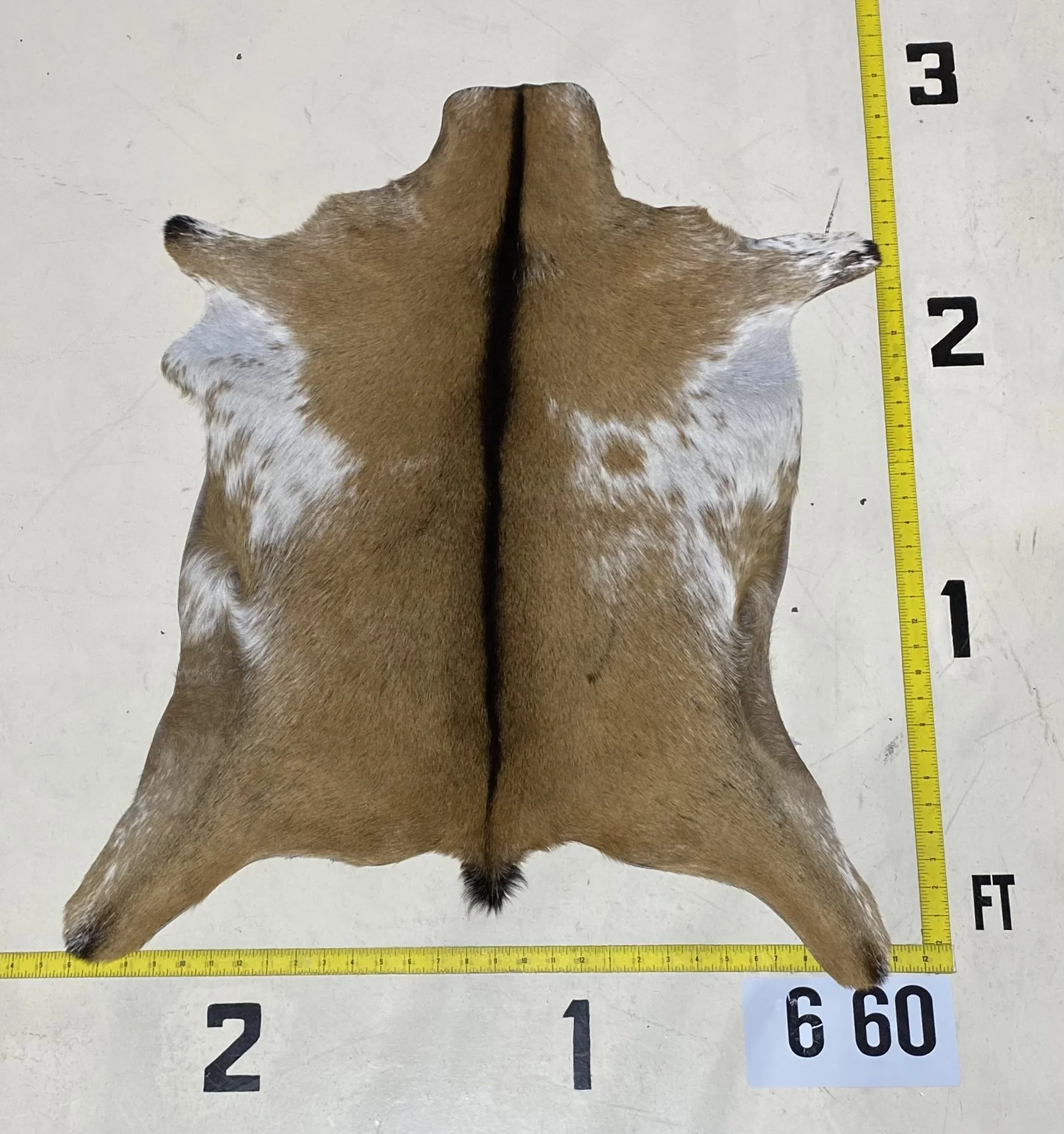 Pick Your Specialty Hide — Texas Leather Goods