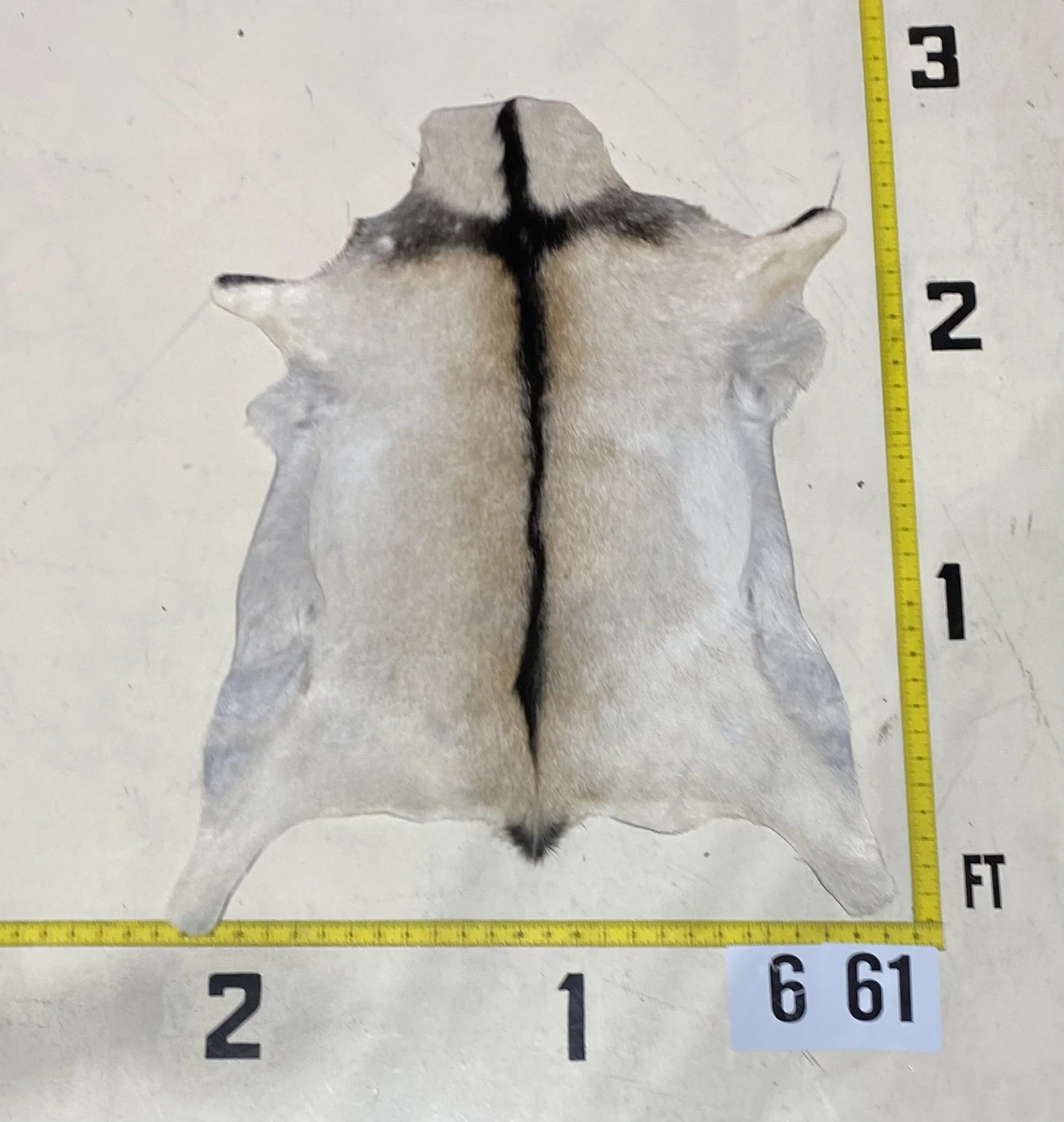 Pick Your Specialty Hide — Texas Leather Goods