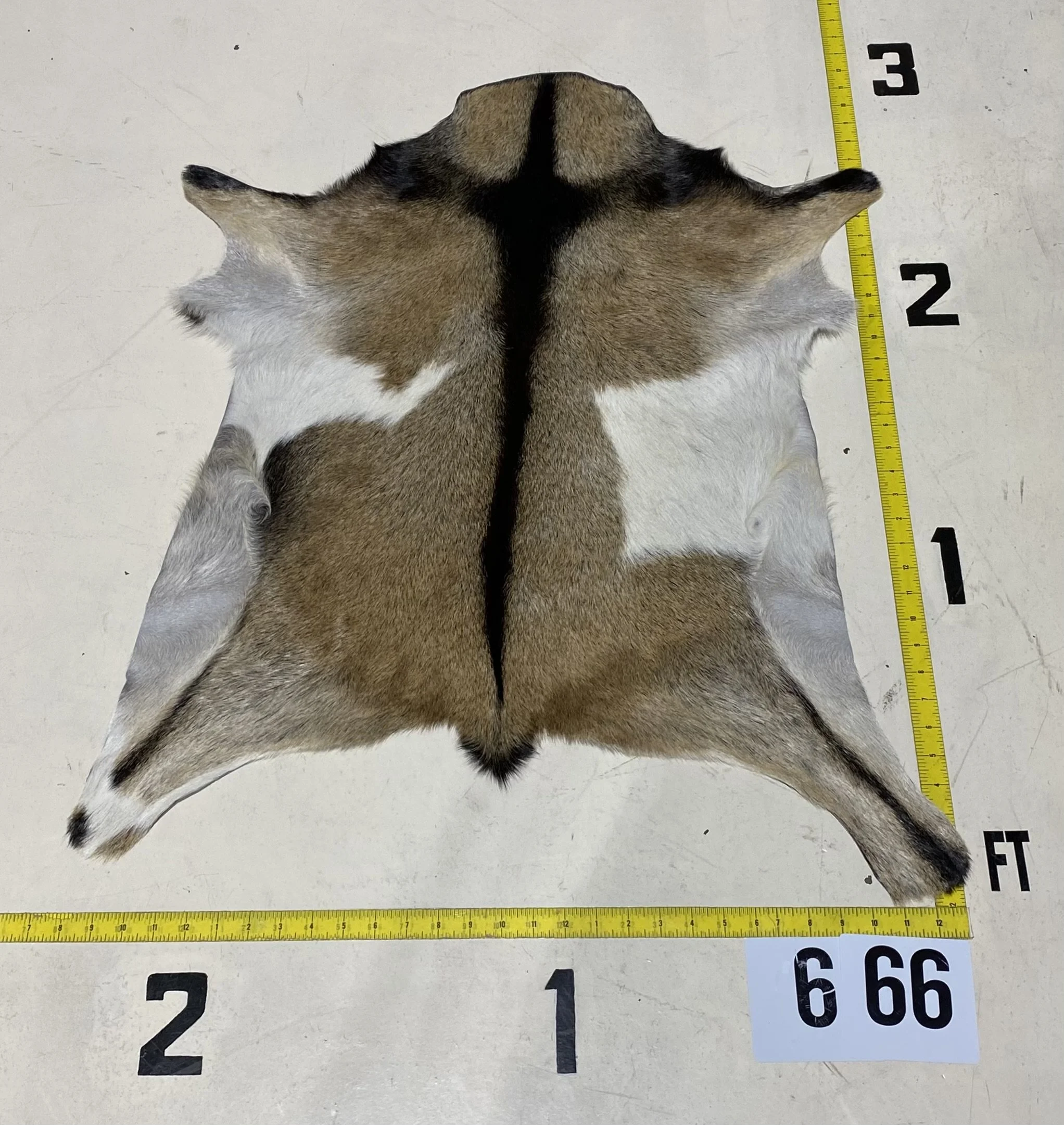 Pick Your Specialty Hide — Texas Leather Goods