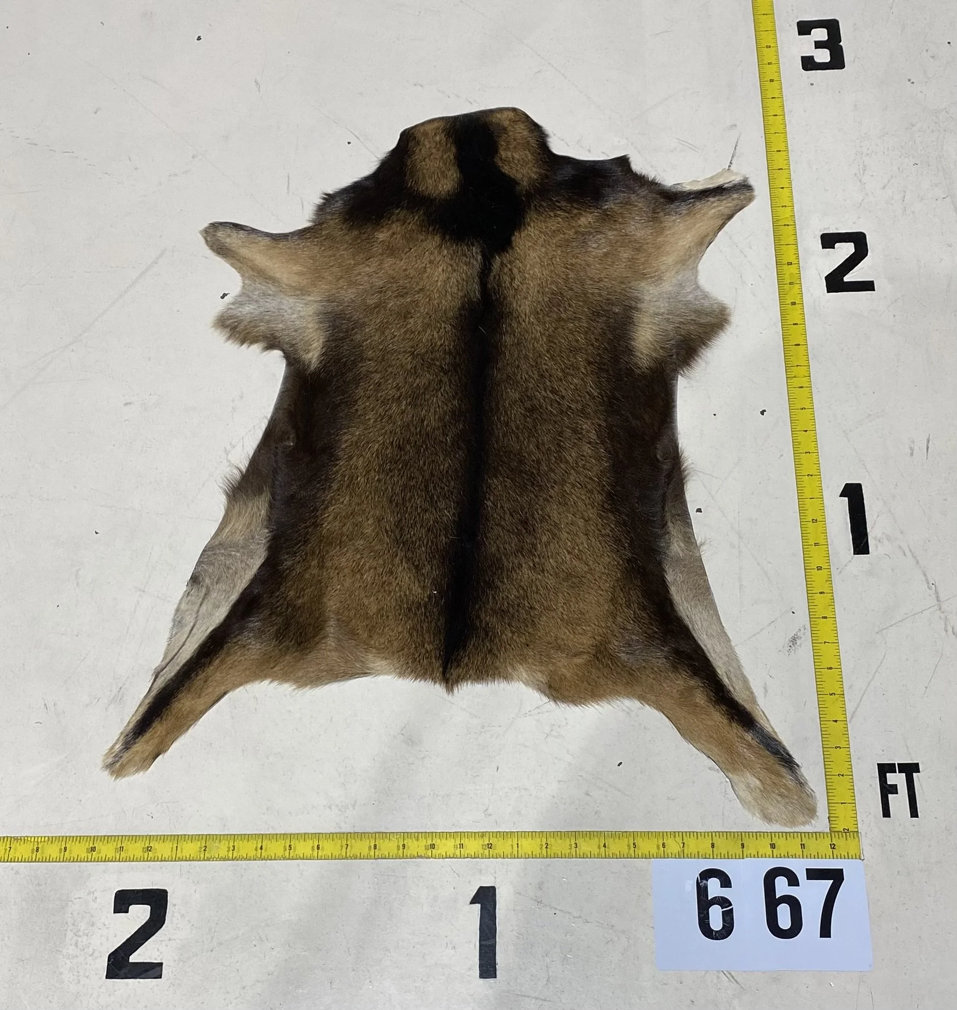 Pick Your Specialty Hide — Texas Leather Goods