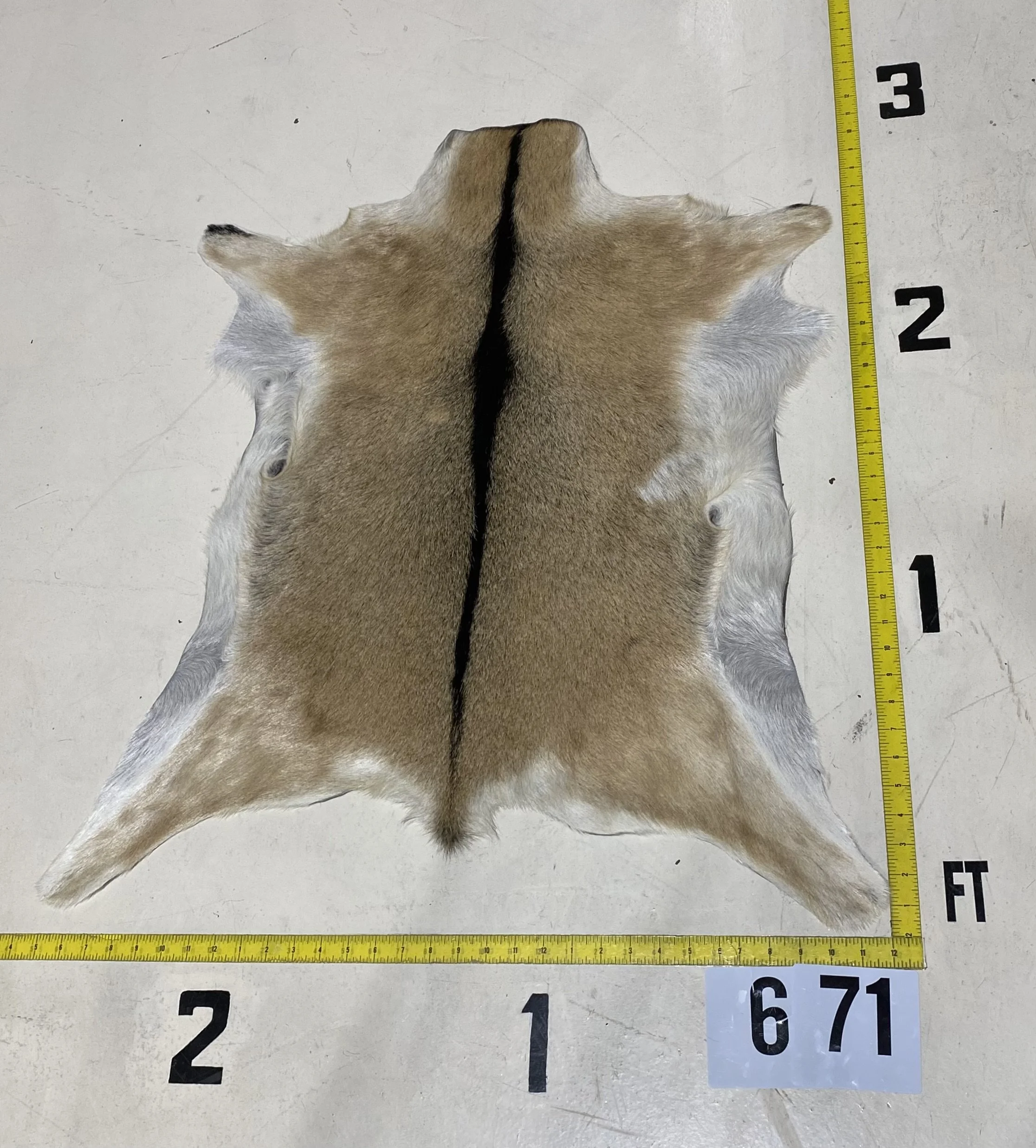 Pick Your Specialty Hide — Texas Leather Goods