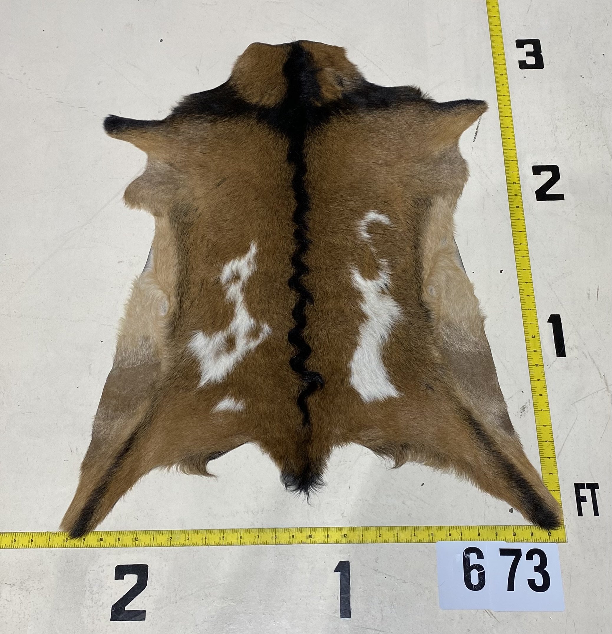 Pick Your Specialty Hide — Texas Leather Goods