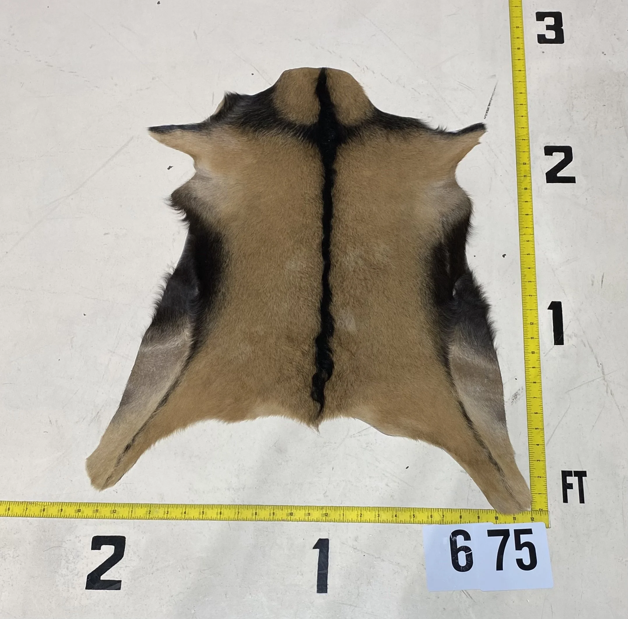 Pick Your Specialty Hide — Texas Leather Goods