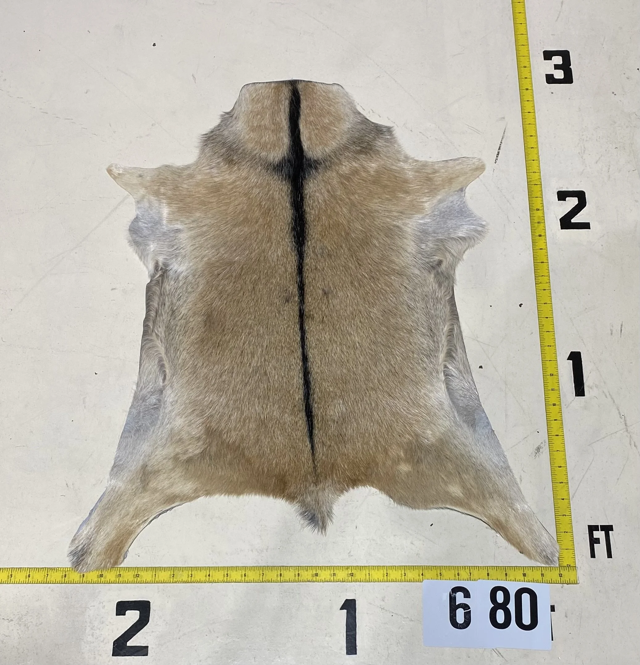 Pick Your Specialty Hide — Texas Leather Goods