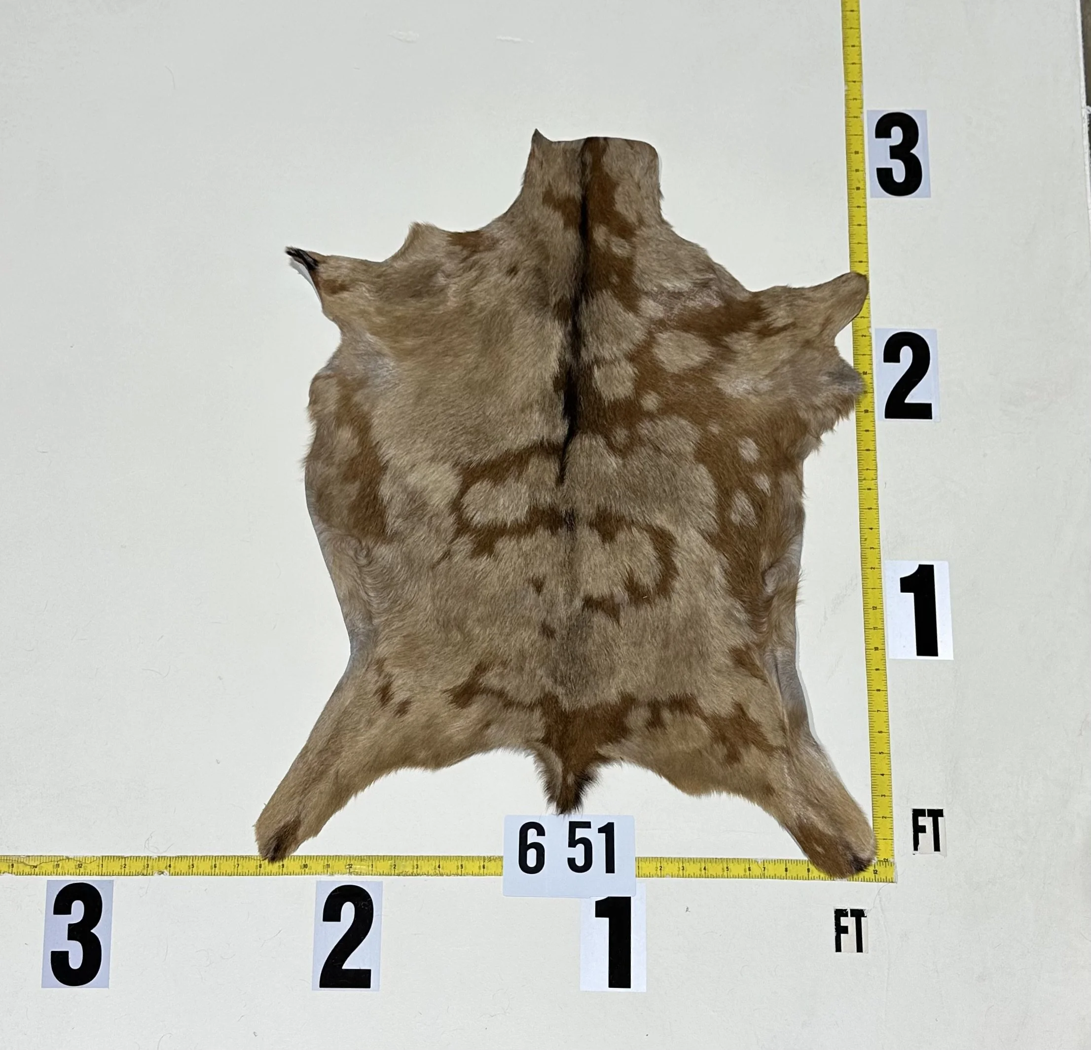 Pick Your Specialty Hide — Texas Leather Goods