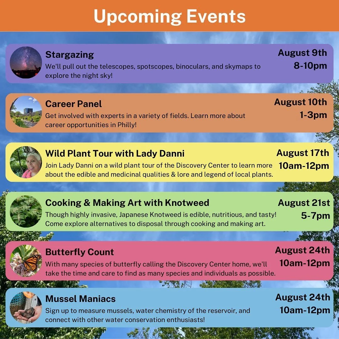 The Discovery Center