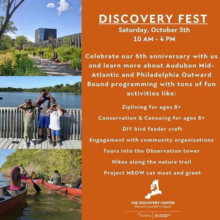 The Discovery Center