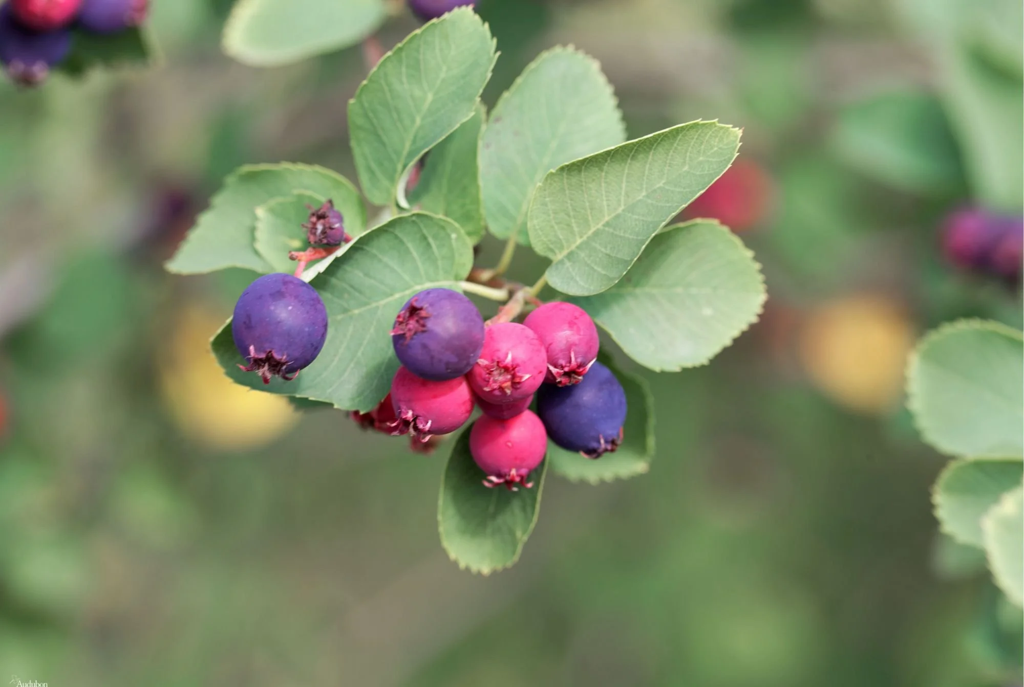 Programs and Events — The Discovery Center