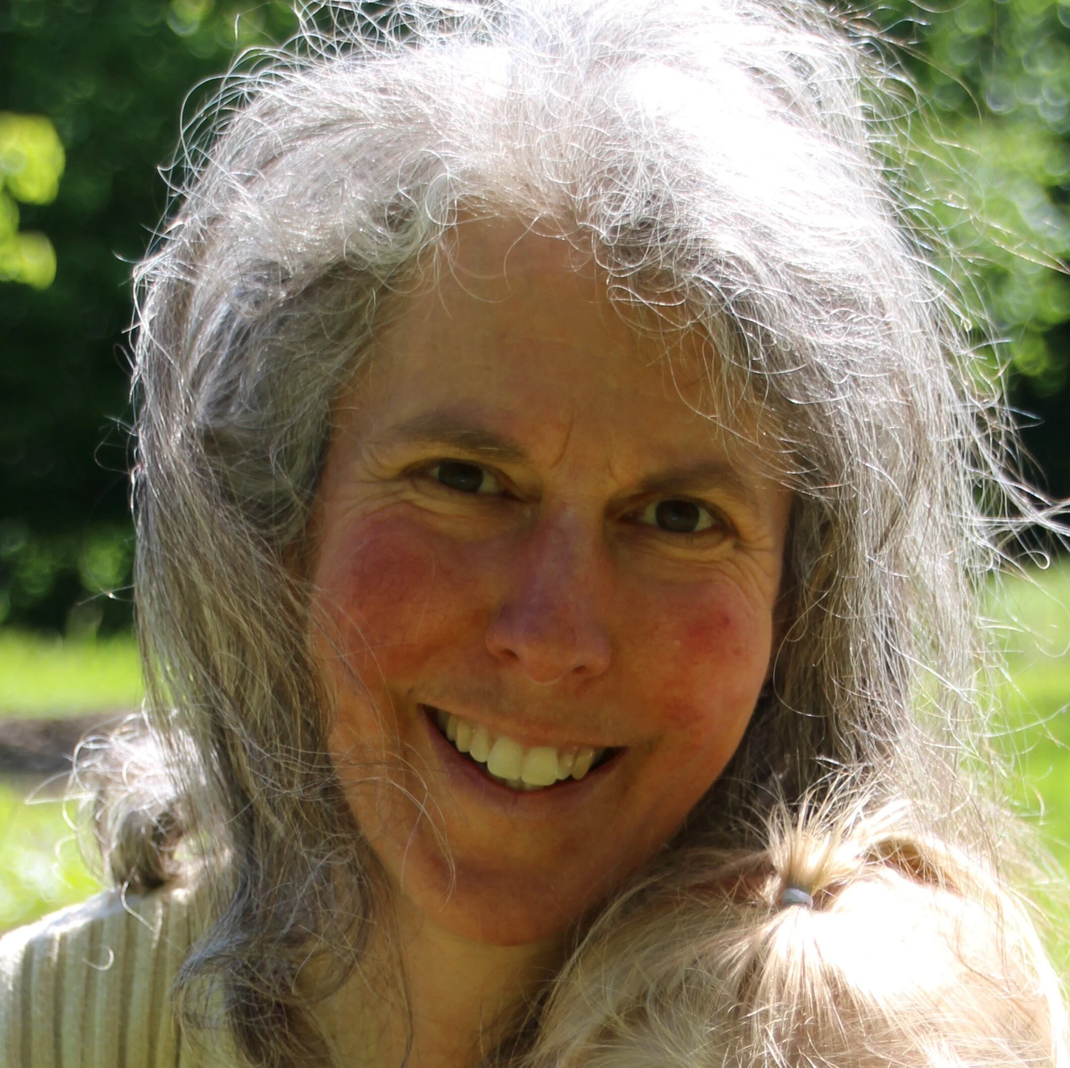 Arena Heidi - Arena Heidi