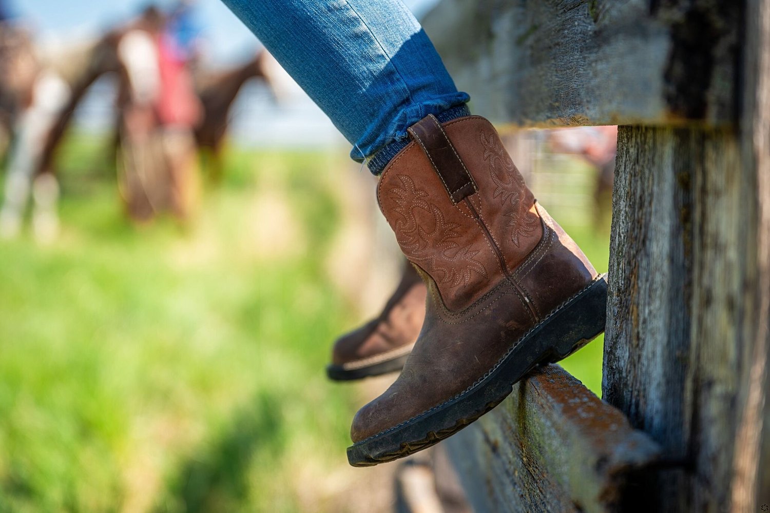 Black Angus Cattle Ranch | Branding 2021 — Brittanyography