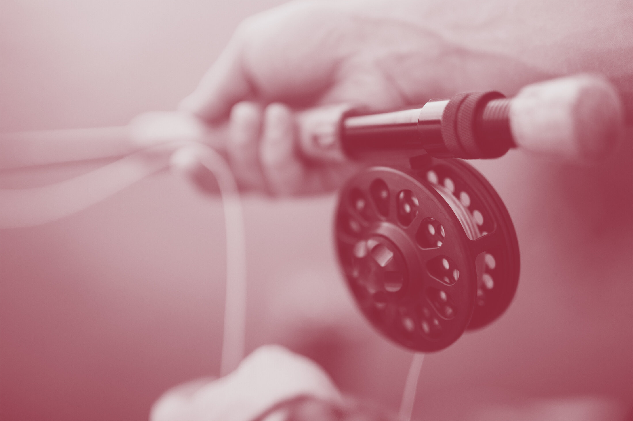 Wild on the Fly, Fly Fishing Adventure Travel