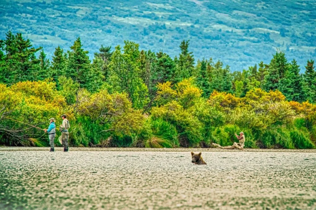 Wild on the Fly, Fly Fishing Adventure Travel
